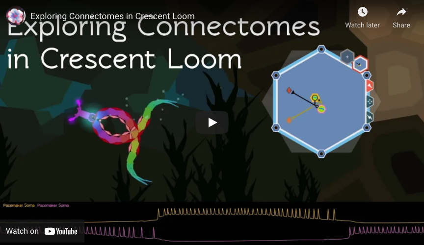 Crescent Loom